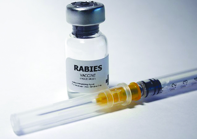 रेविजविरुद्धको खोप: निःशुल्क खोप अभाव, किने पाइन्छ